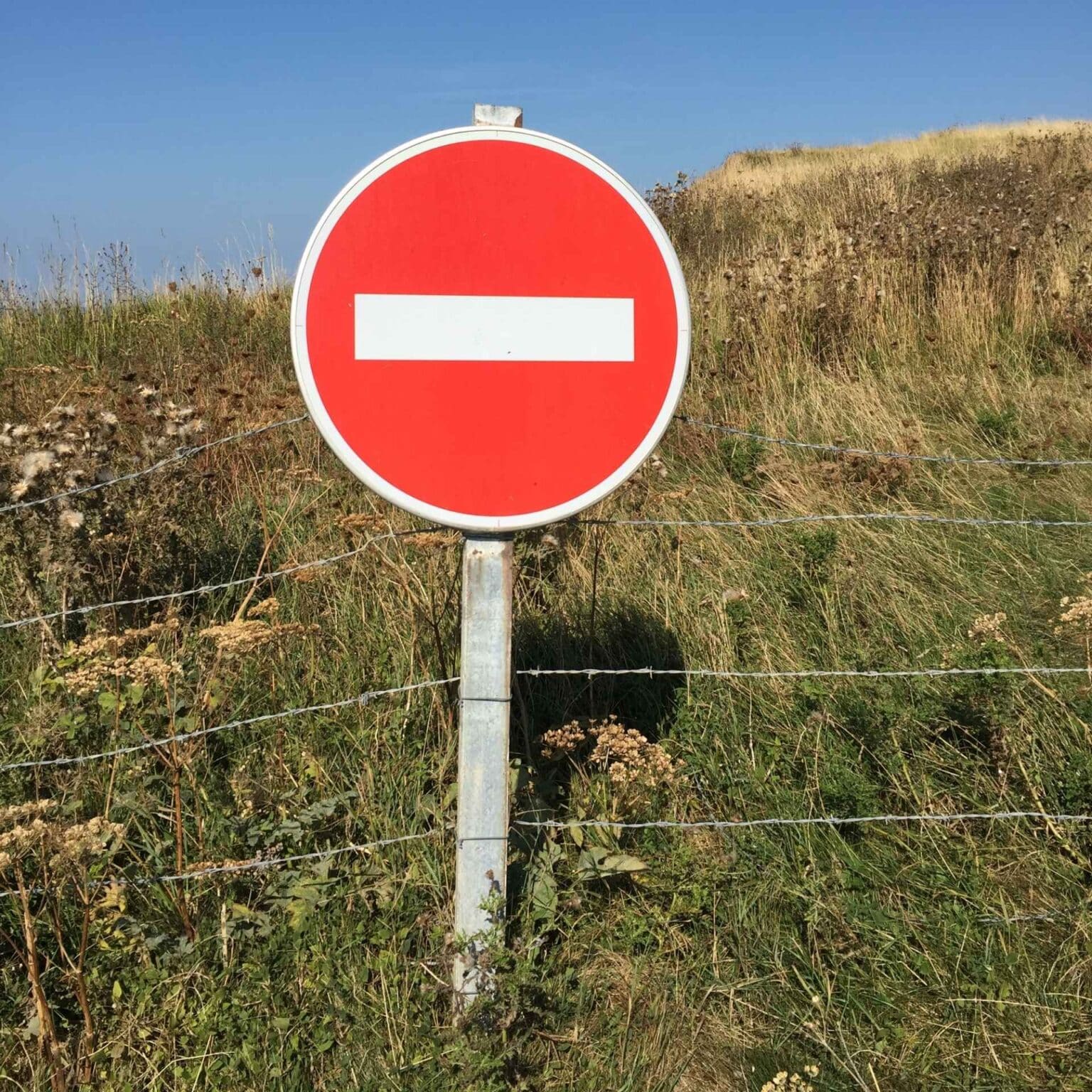 Wasser verbindet: Blau-Weiß in Bochum - GLS Bank Magazin